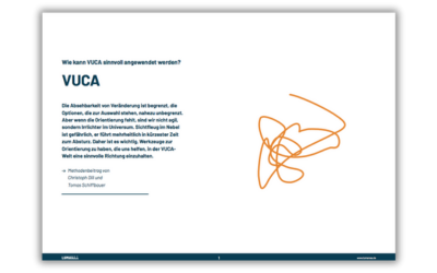 Orientierung in einer VUCA-Welt Download